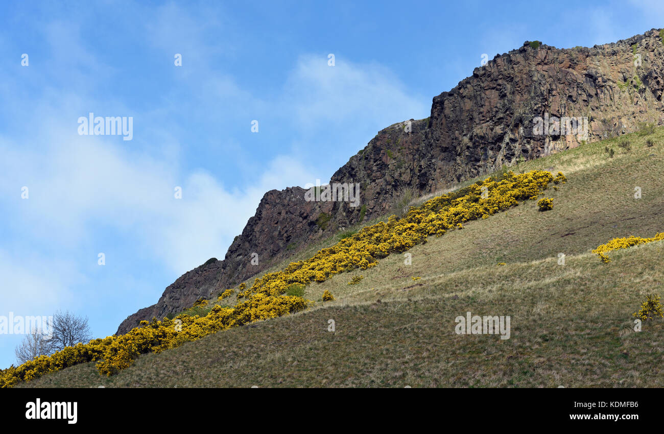 Salisbury Crags and Arthur's Seat, Edinburgh, Scotland Stock Photo - Alamy