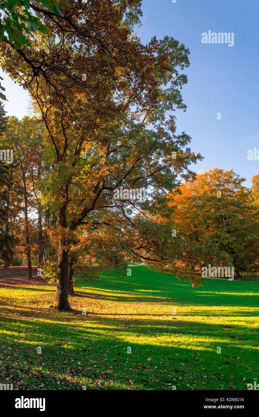 Park Maksimir in autumn,Croatia Stock Photo - Alamy