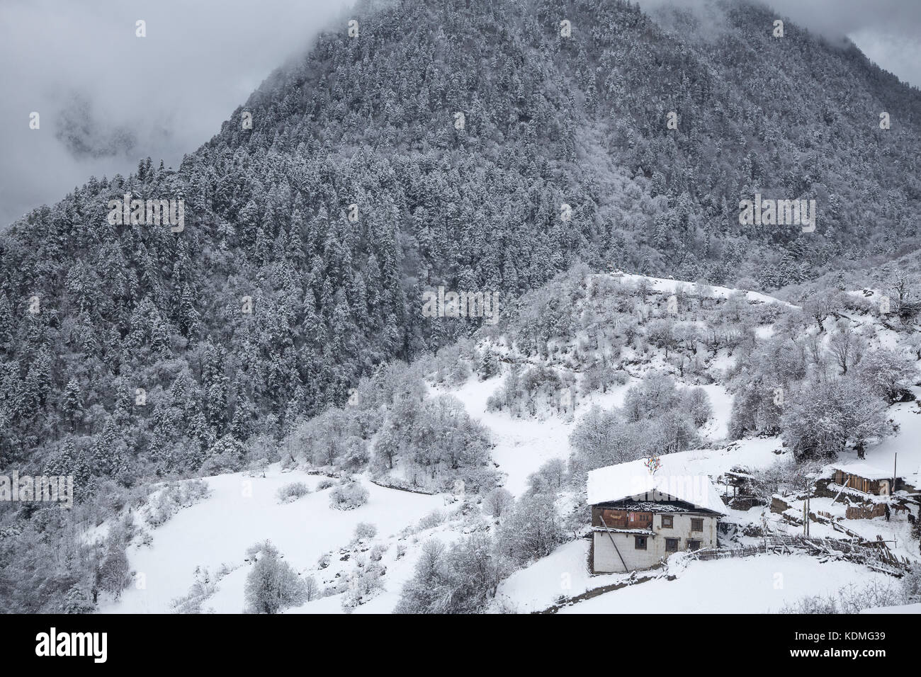 Country in snow Stock Photo - Alamy