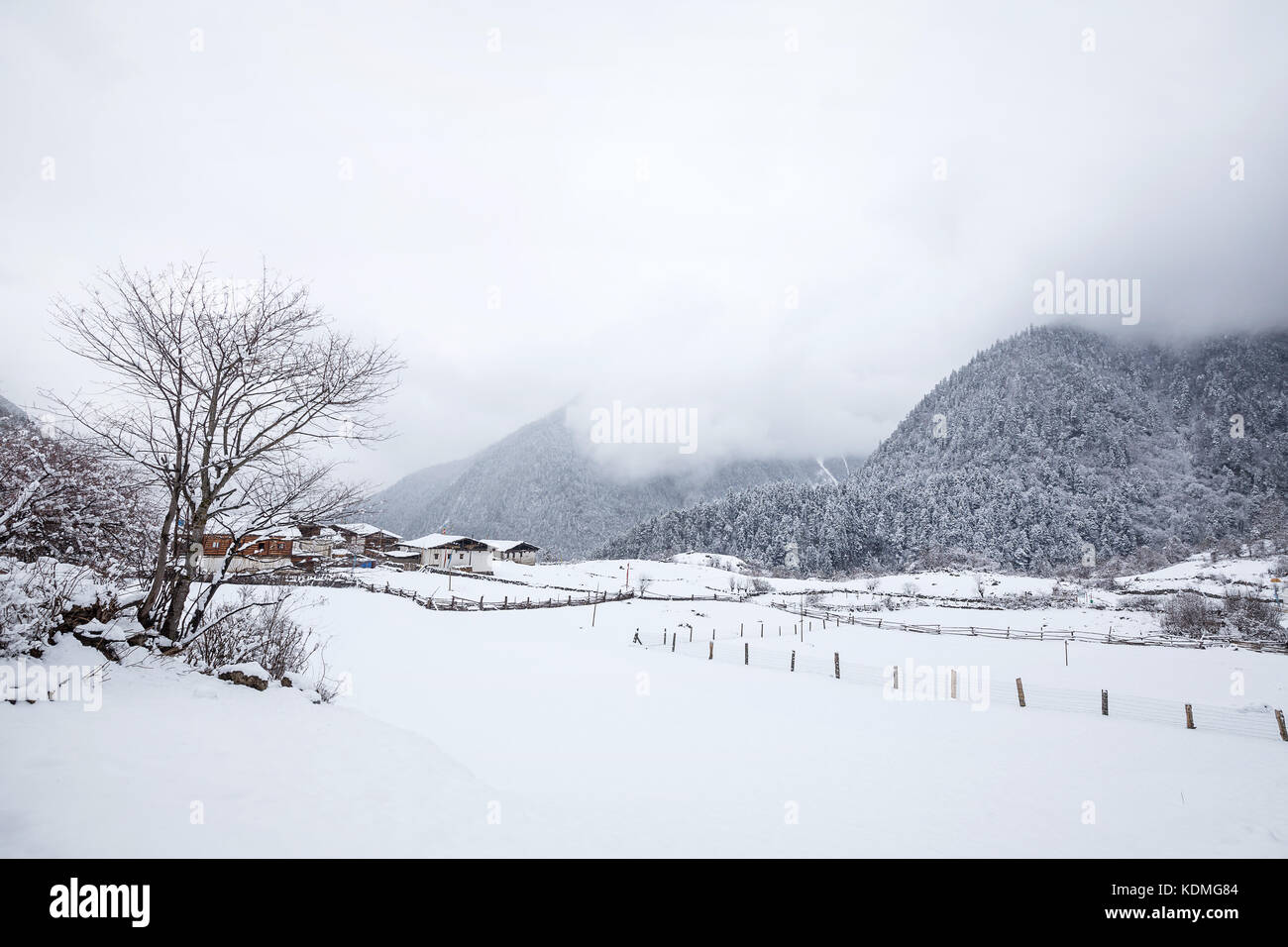 Country in snow Stock Photo - Alamy