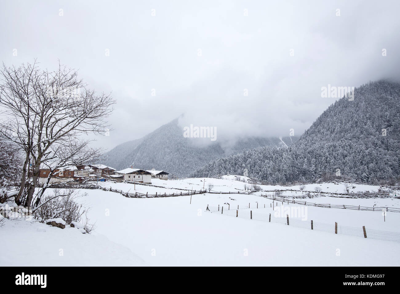 Country in snow Stock Photo - Alamy