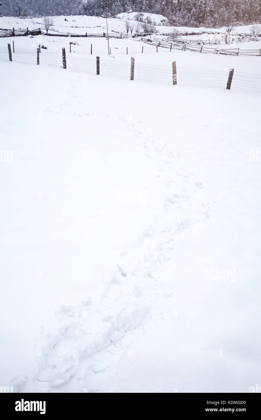 Country in snow Stock Photo - Alamy