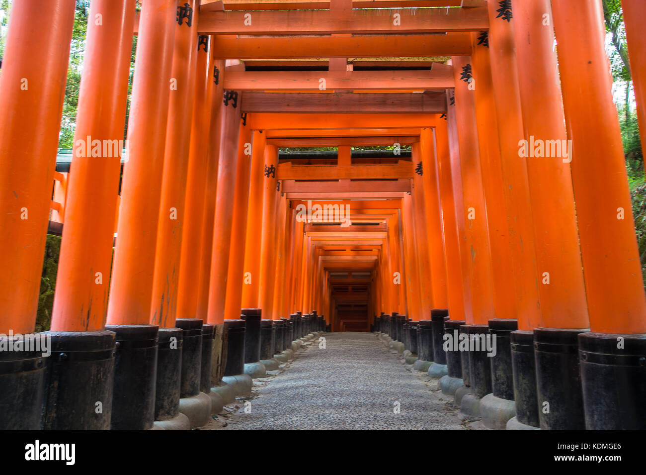 Torii gates hi-res stock photography and images - Alamy