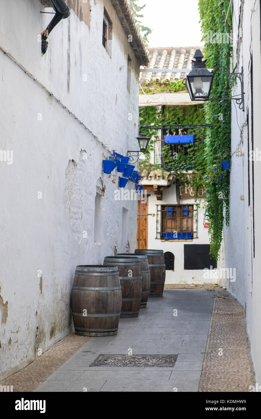 Alleyway, old town, Cordoba, Andalusia, Spain Stock Photo - Alamy