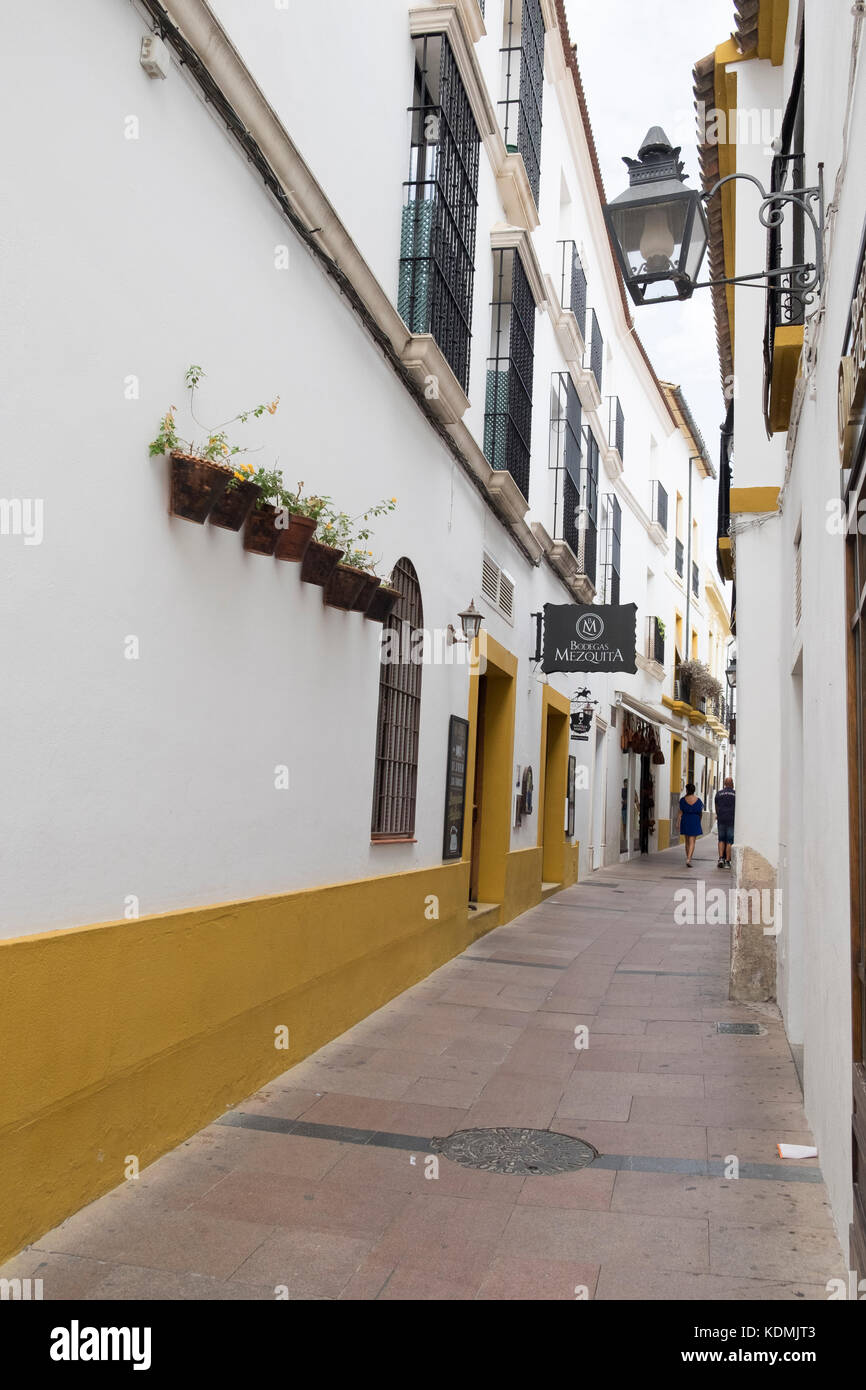 Alleyway, old town, Cordoba, Andalusia, Spain Stock Photo - Alamy