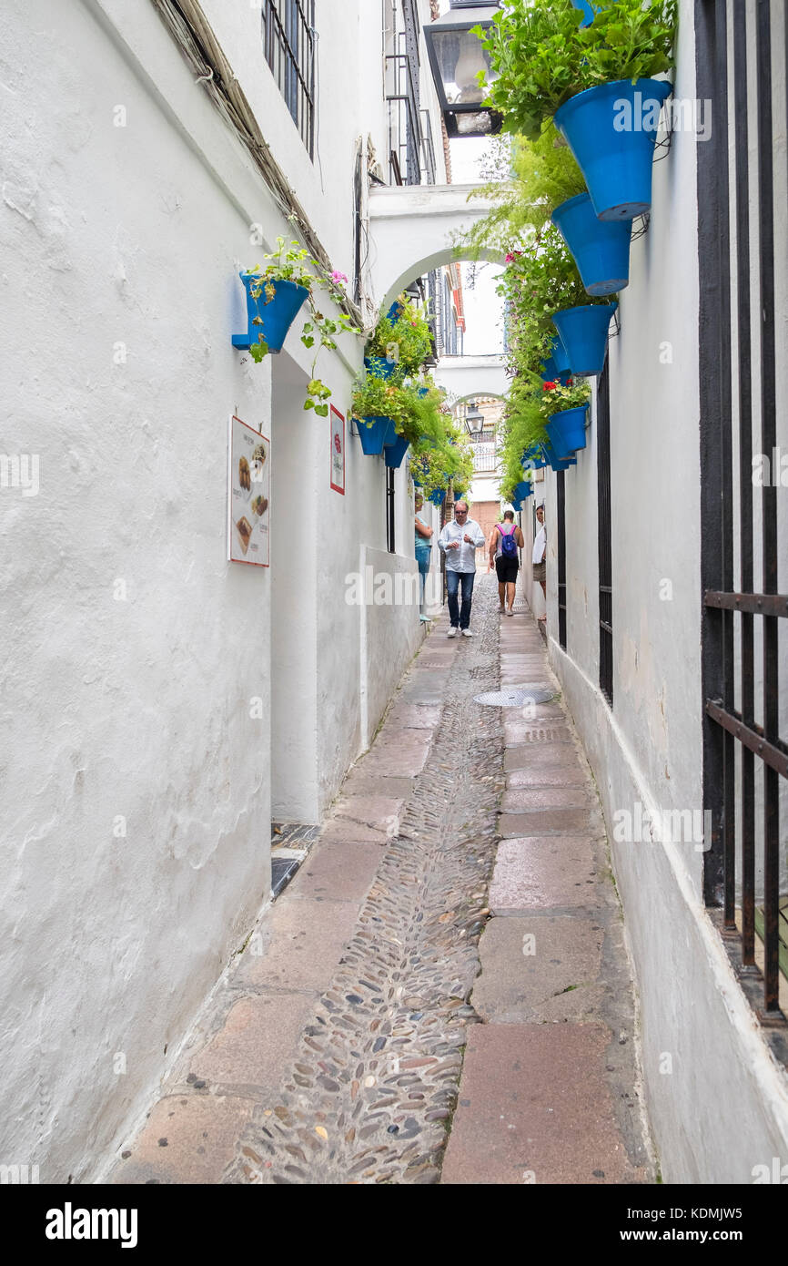 Alleyway, old town, Cordoba, Andalusia, Spain Stock Photo - Alamy