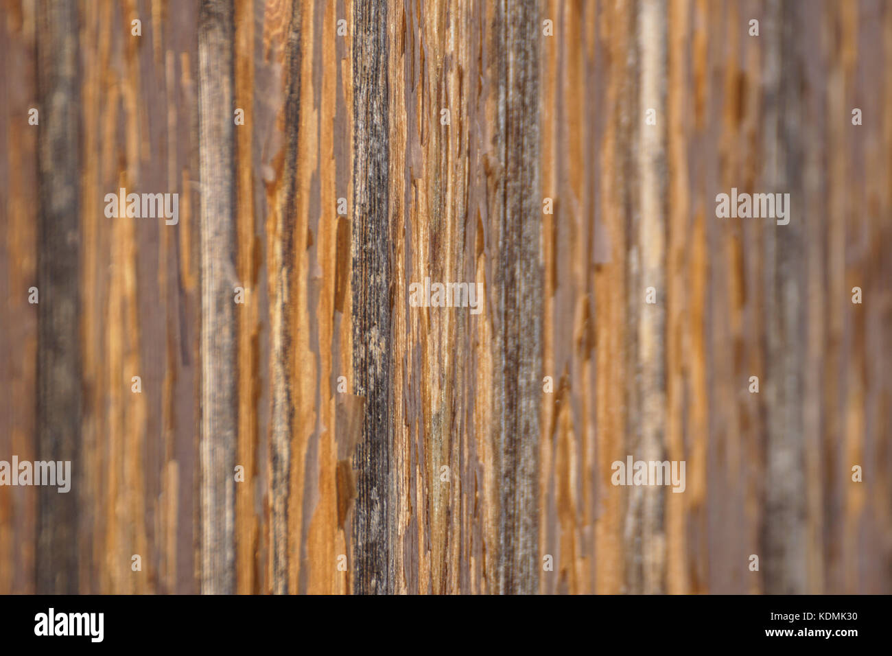 Close up of wooden jetty . wooden board for walk . selective focus ...