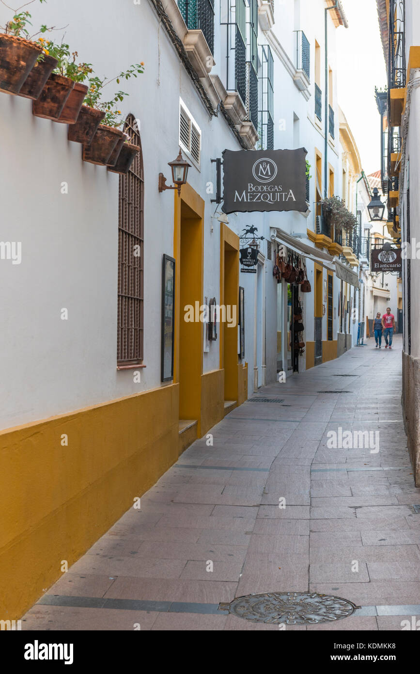 Alleyway, old town, Cordoba, Andalusia, Spain Stock Photo - Alamy