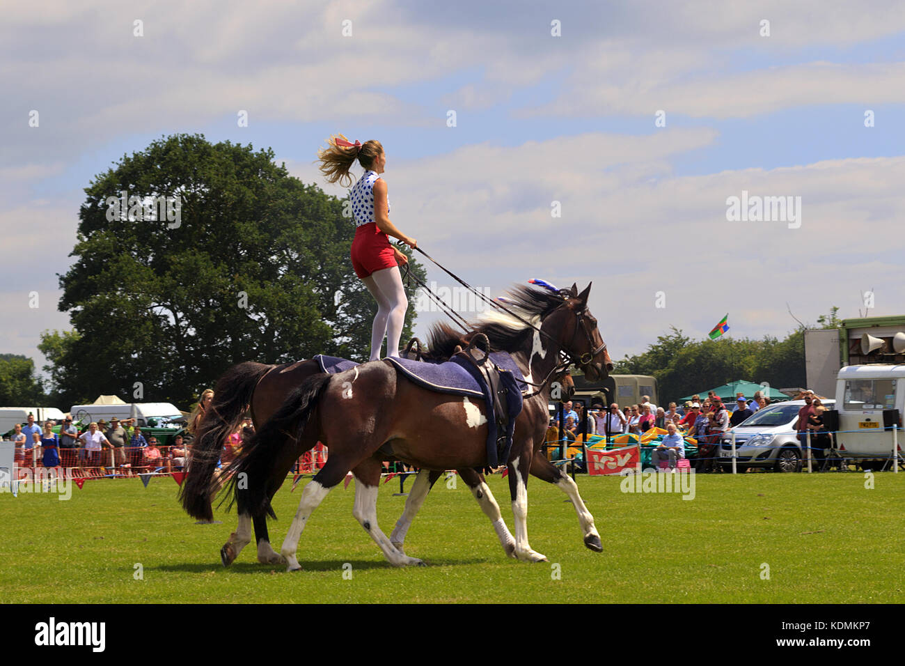 Horse display hi-res stock photography and images - Alamy
