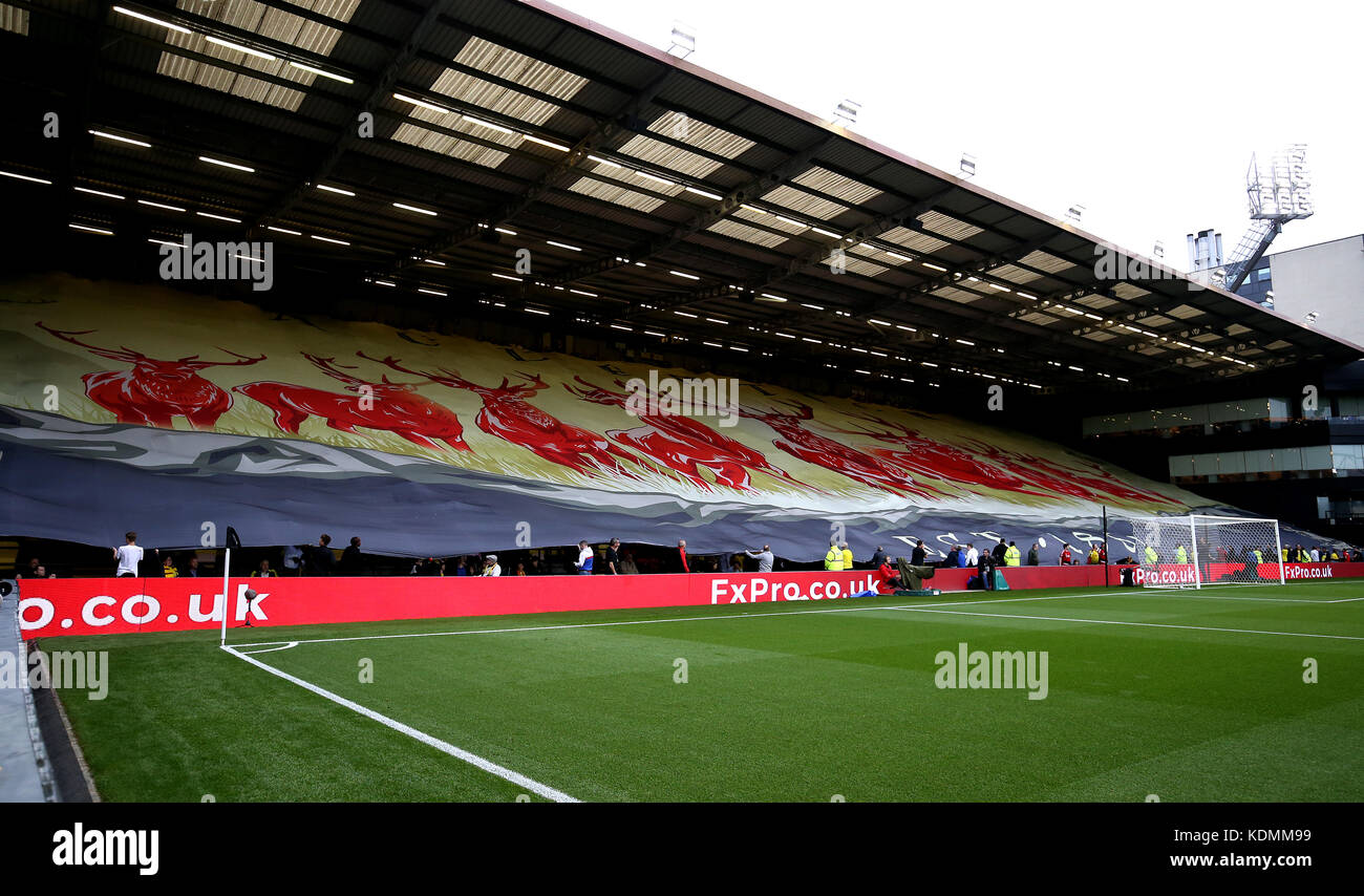 Stags football hi-res stock photography and images - Alamy