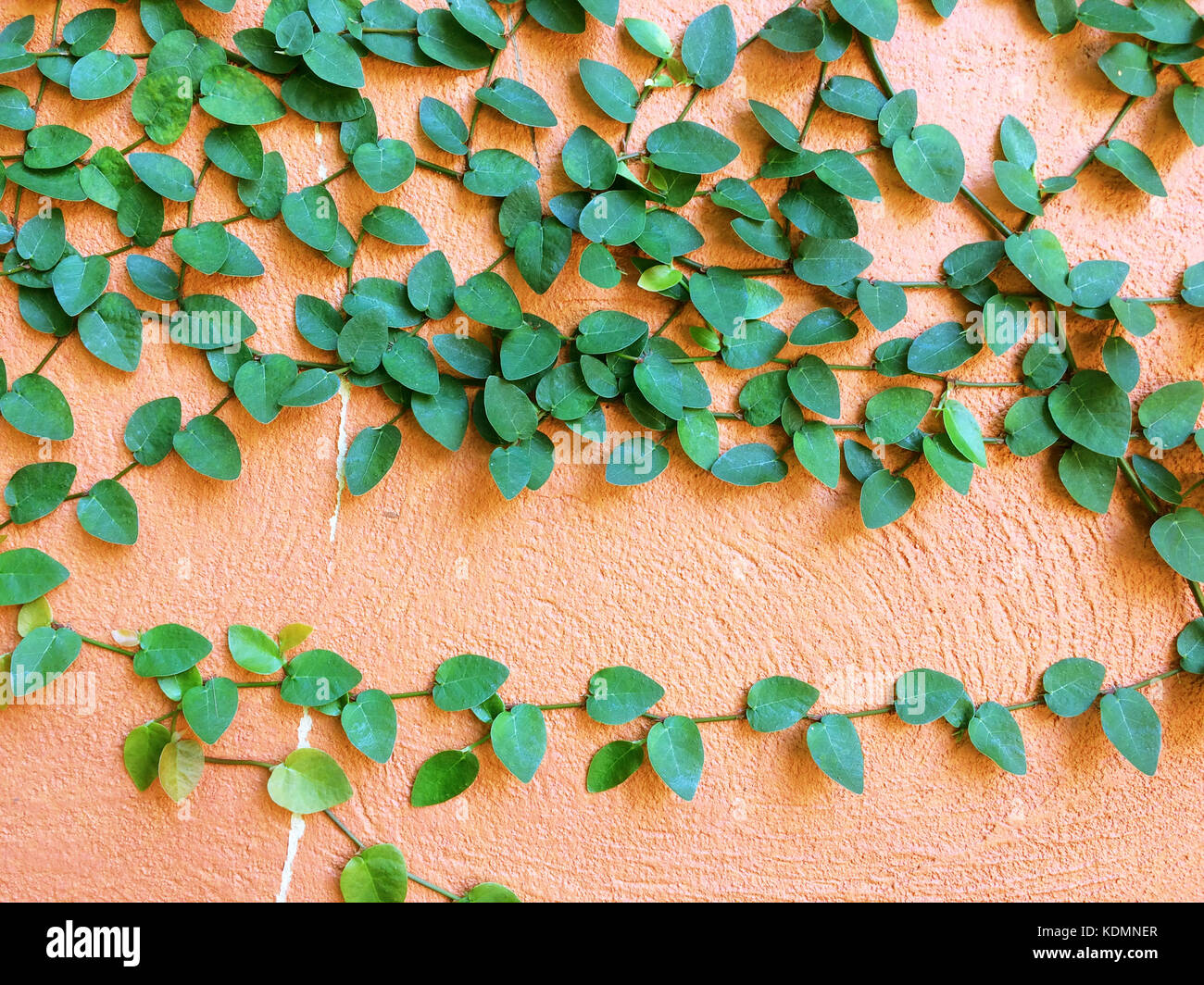 Velcro wall hi-res stock photography and images - Alamy