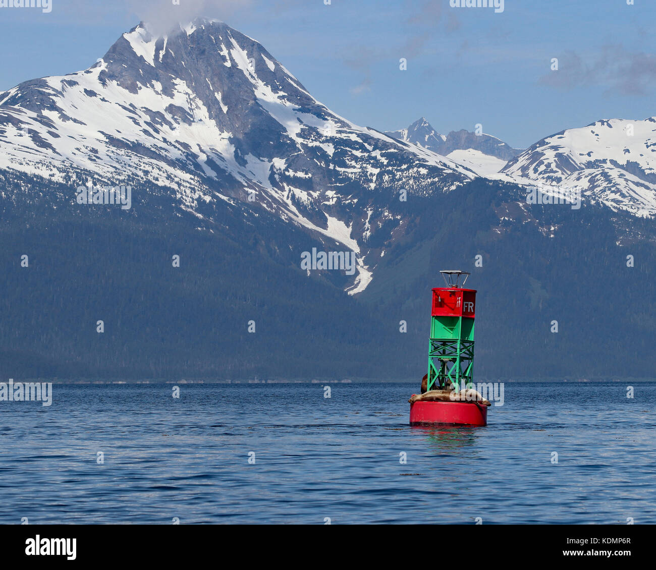 Stellar Sea Lions floating on a red and green buoy near snow capped ...