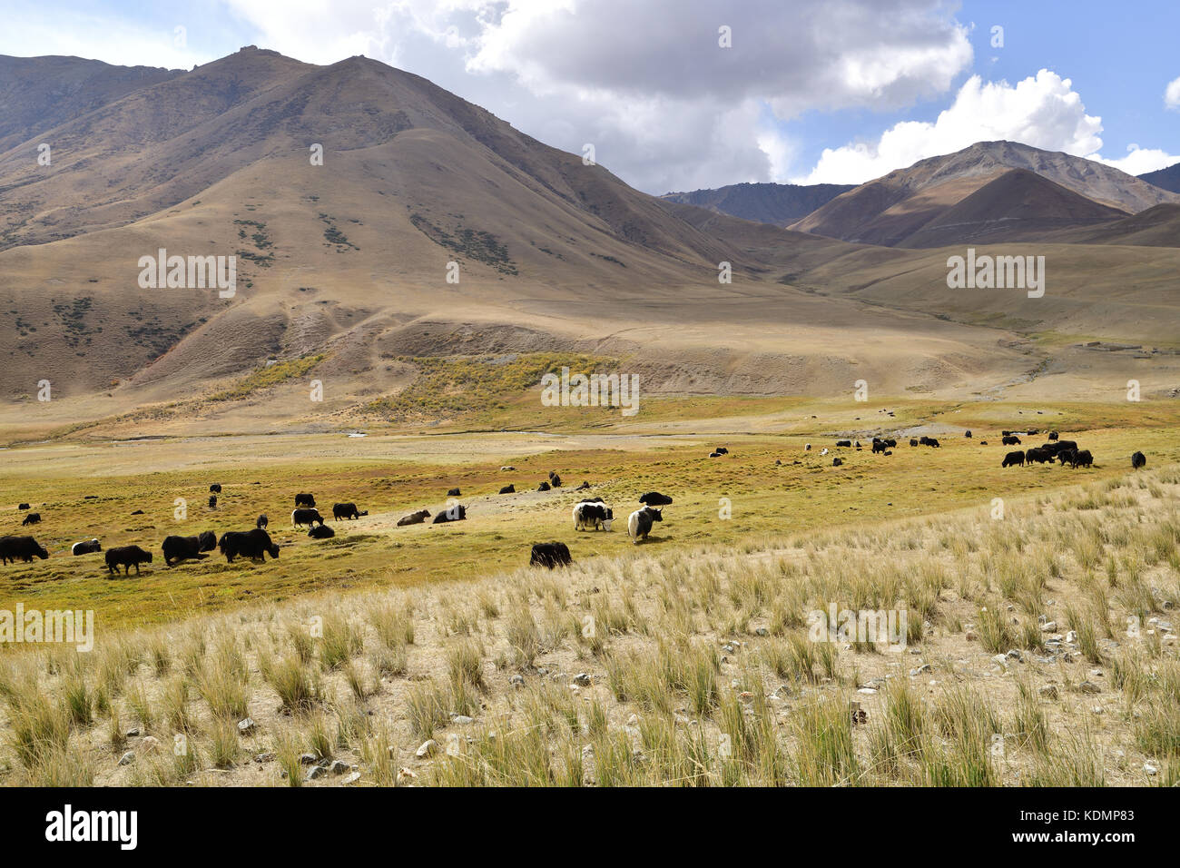 Issyk-Kul Region, Karakichi, Lake Sonkel, Kyrgyzstan Stock Photo - Alamy
