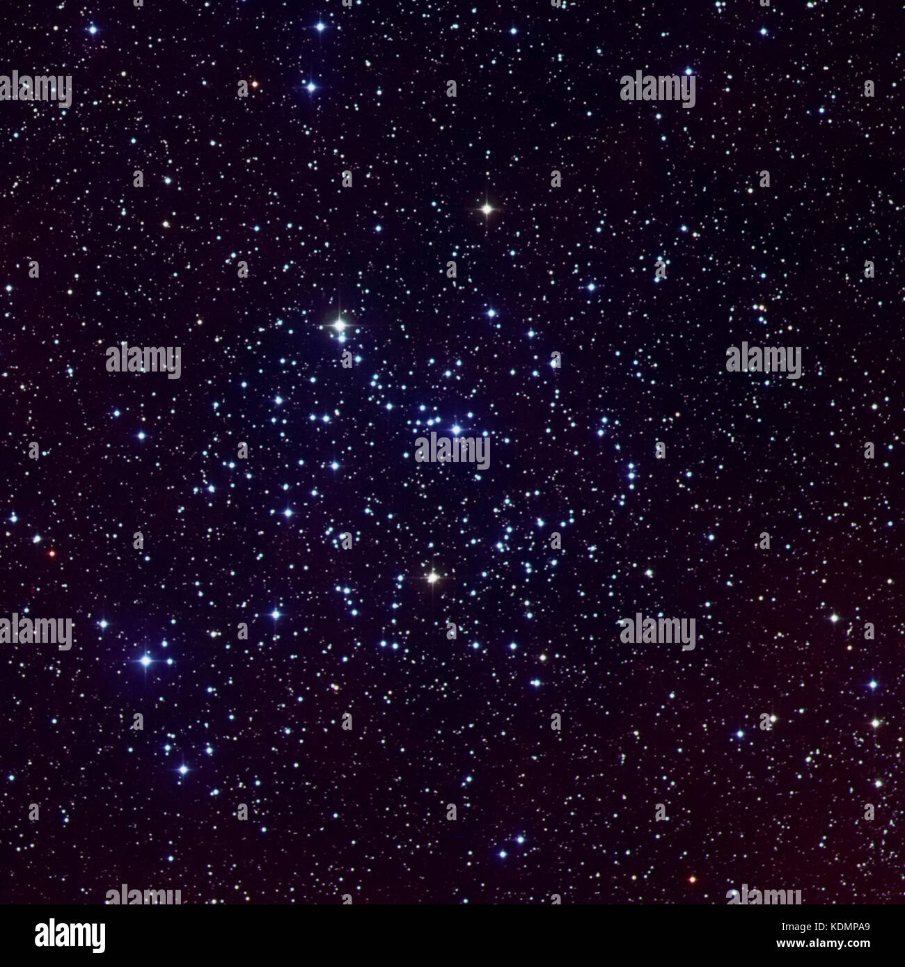 Messier 35 (also known as M35, or NGC 2168) is an open cluster in the constellation Gemini Stock ...