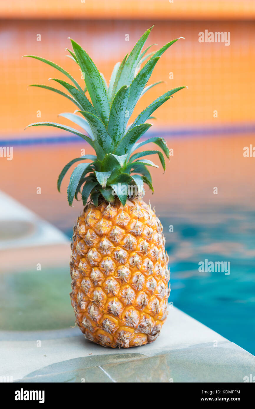 Fresh yellow pineapple tropic fruit summer near pool Stock Photo - Alamy