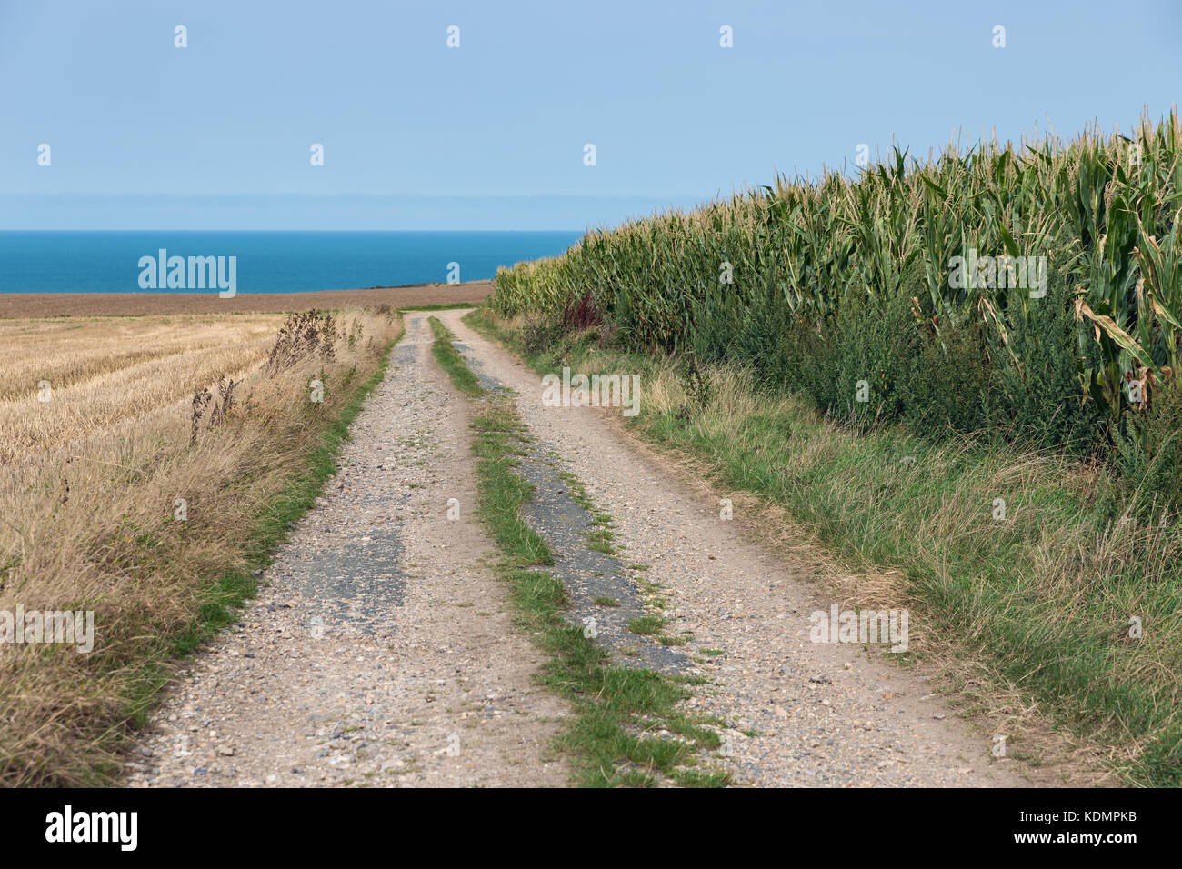 Country road along cornfield hi-res stock photography and images - Alamy