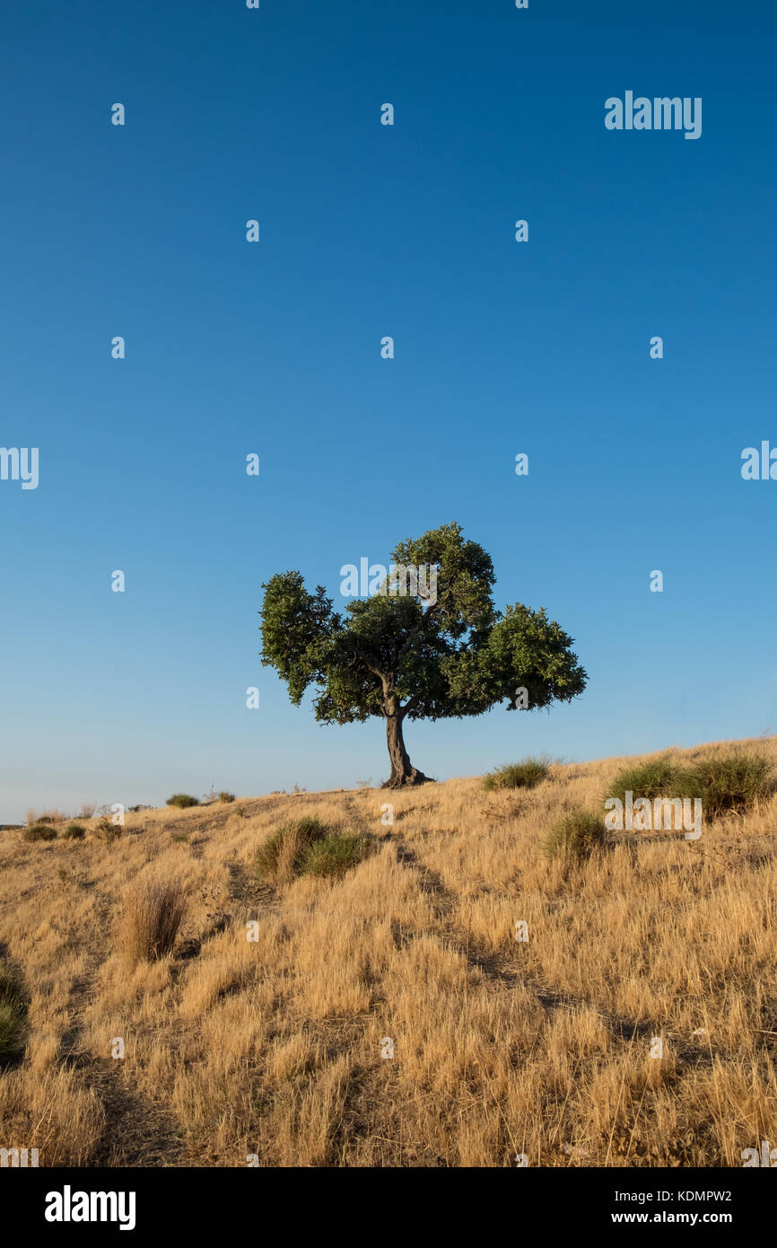 Path with no end hi-res stock photography and images - Alamy