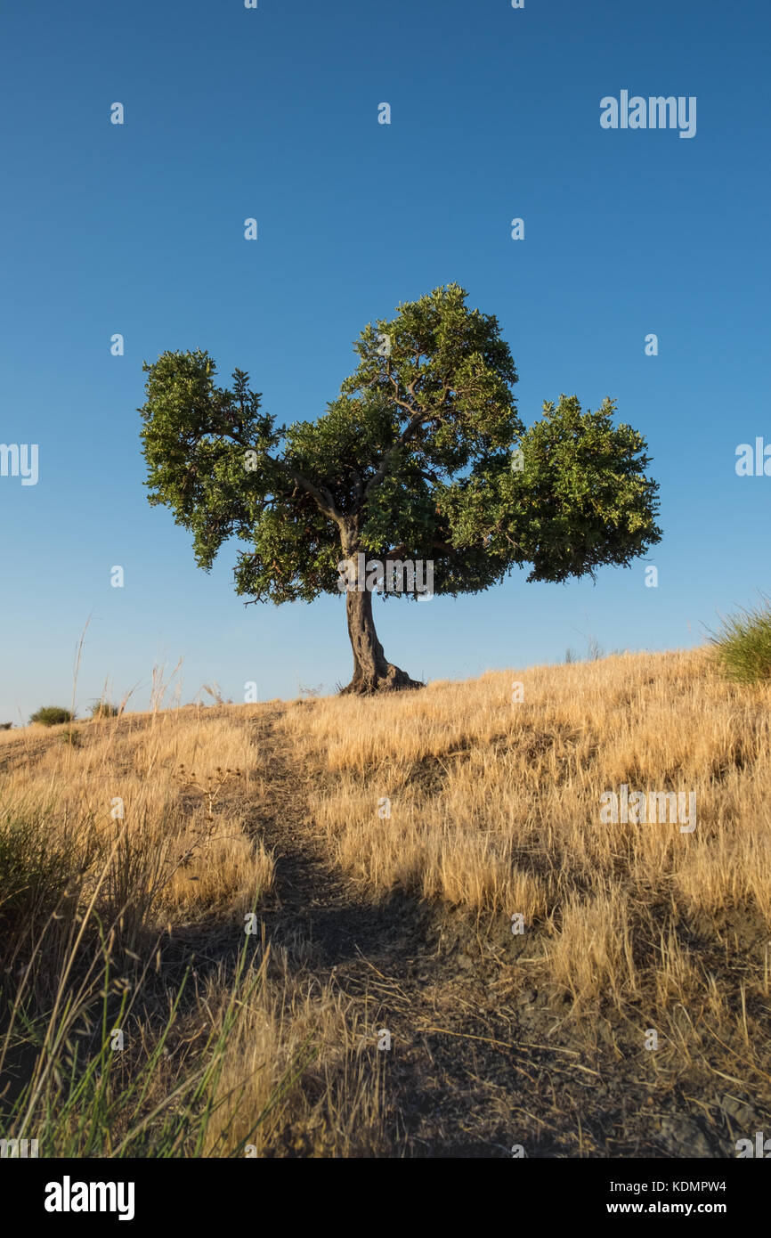 Path with no end hi-res stock photography and images - Alamy