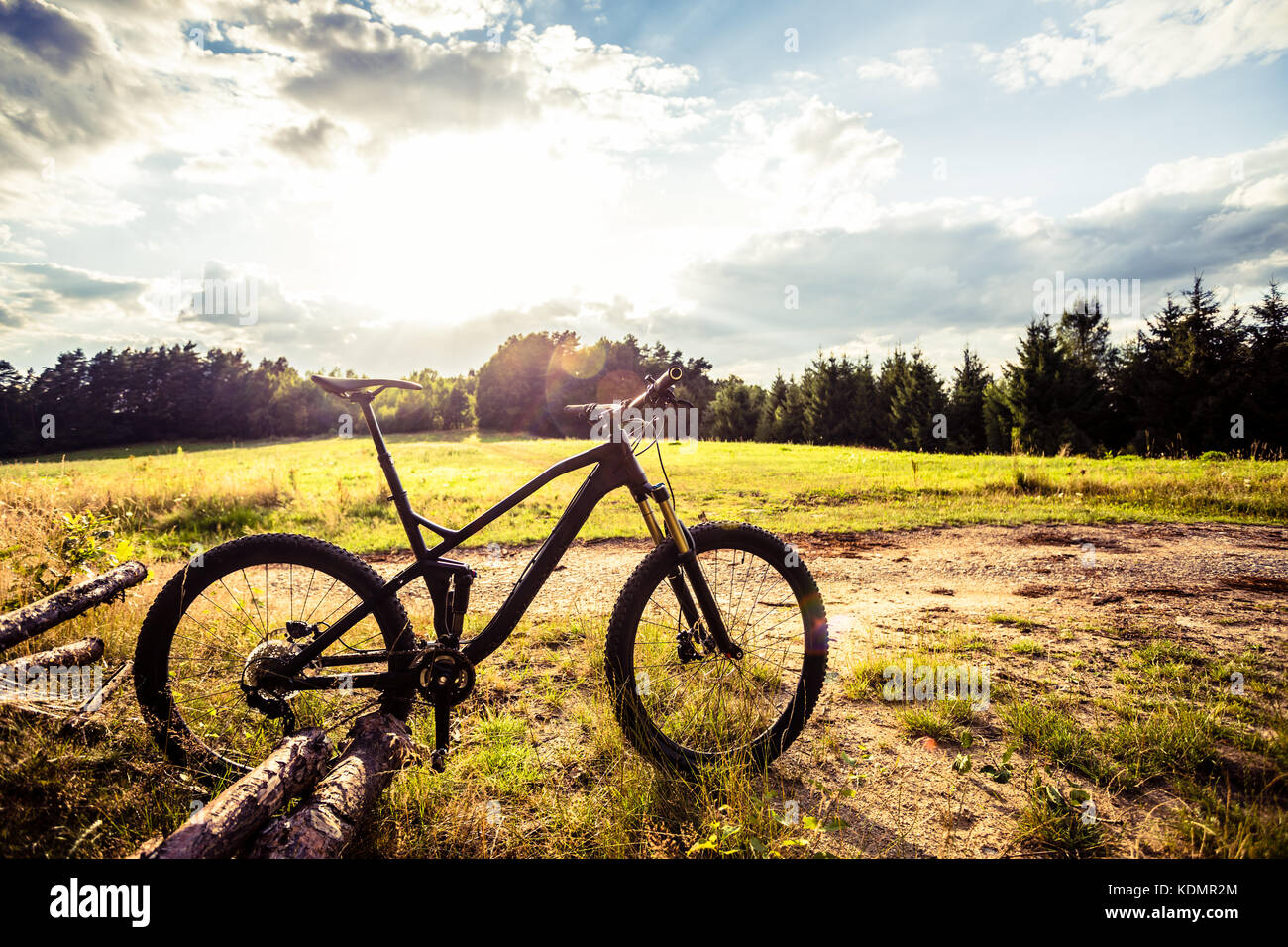 Mountain bike MTB on green summer forest trail, inspirational landscape ...