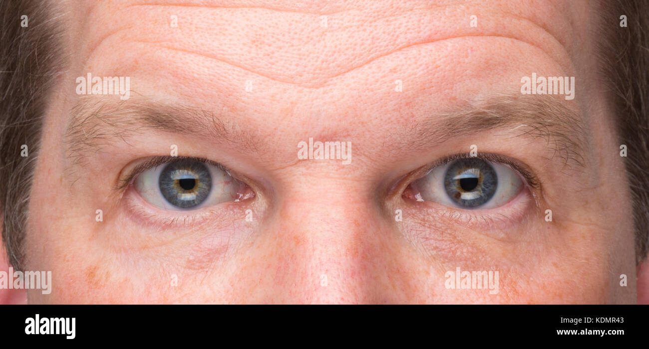 Stare eyes hi-res stock photography and images - Alamy