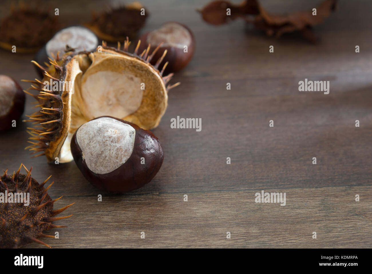 closeup of wild chestnuts and spiked shells on a wooden table Stock ...