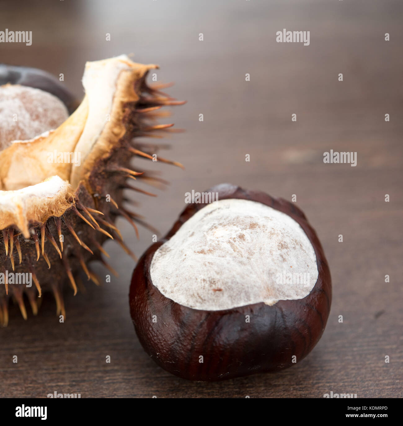 Out from the shell hi-res stock photography and images - Alamy
