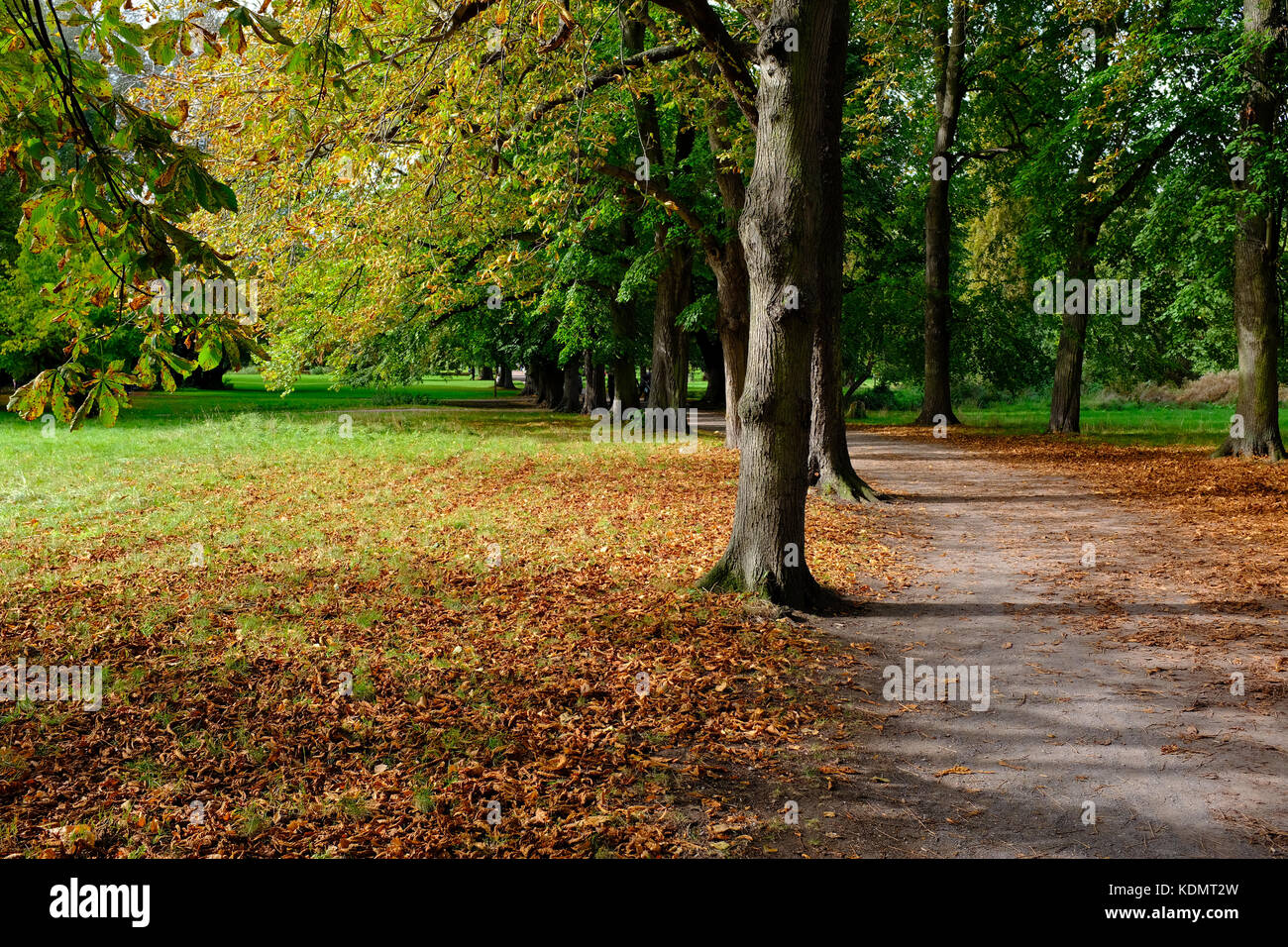 Morden Hall Park Autumn Stock Photo - Alamy