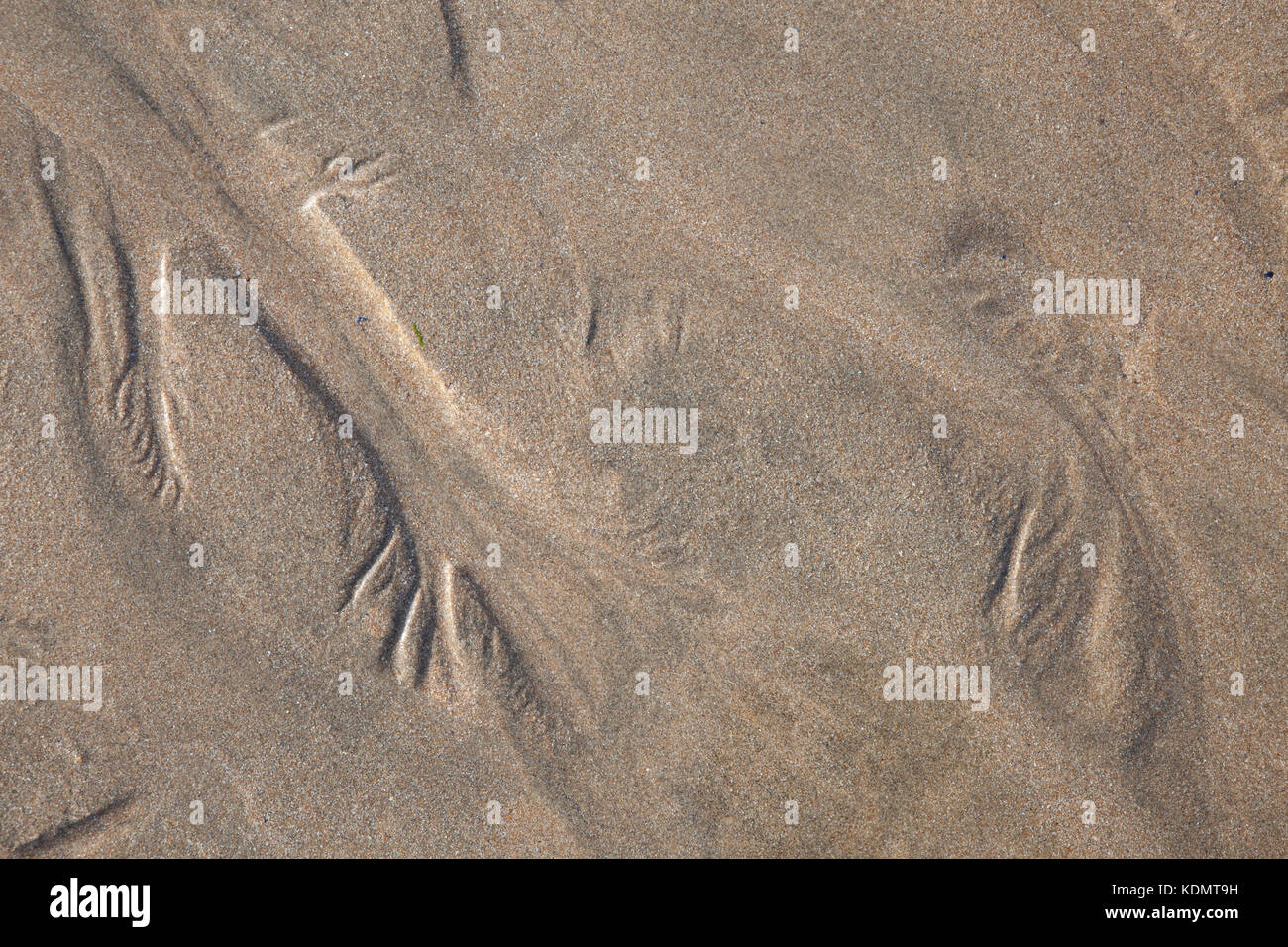 Sand patterns left by the tide Stock Photo - Alamy