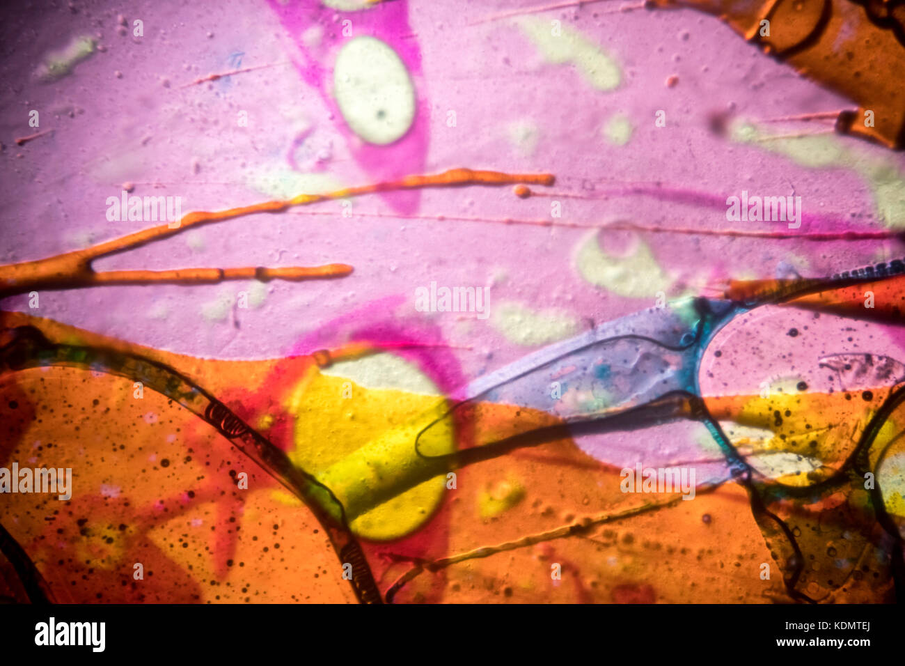 Oil Wheel Projection Abstracts Stock Photo - Alamy
