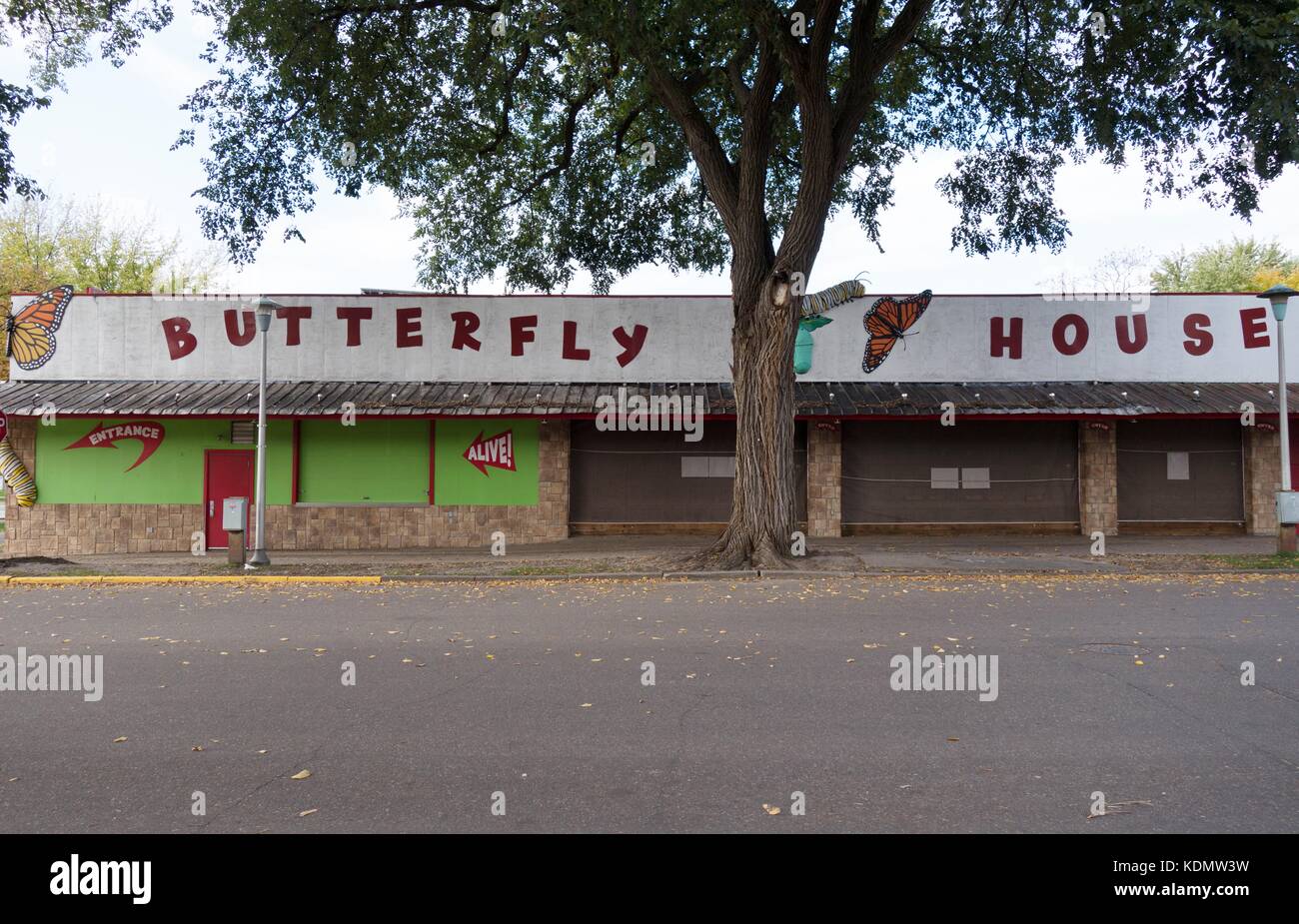 The empty Butterfly House at the Minnesota State fairgrounds, during ...