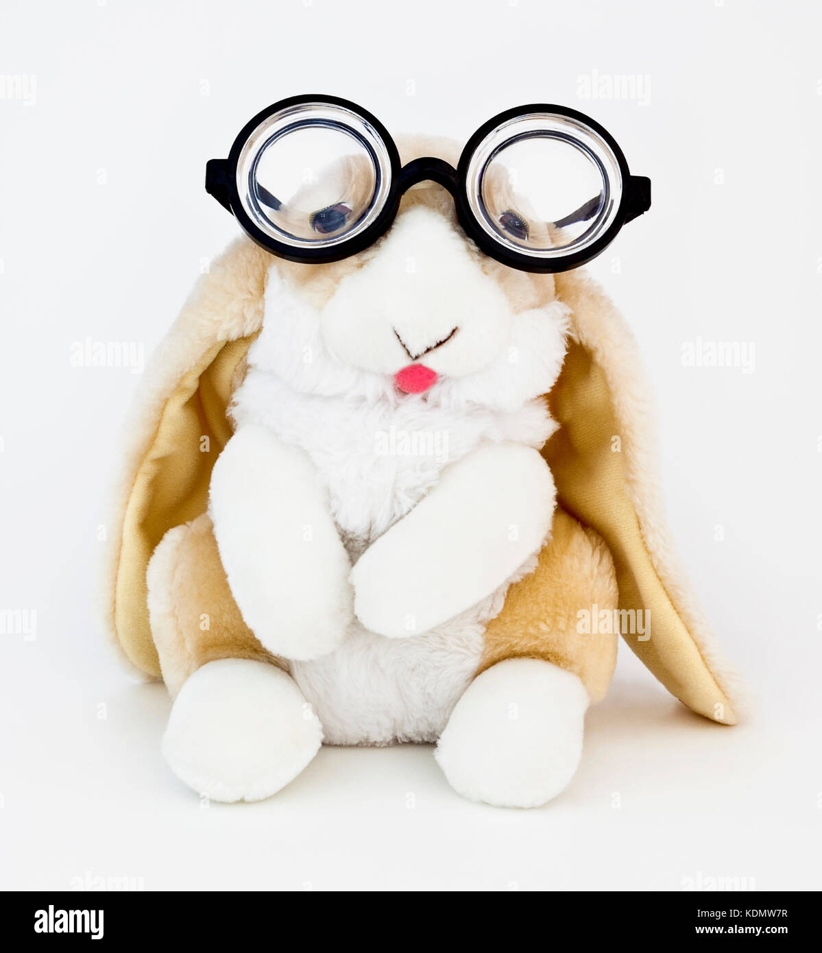 Long-eared bunny rabbit wearing silly goofy nerd glasses Stock Photo ...