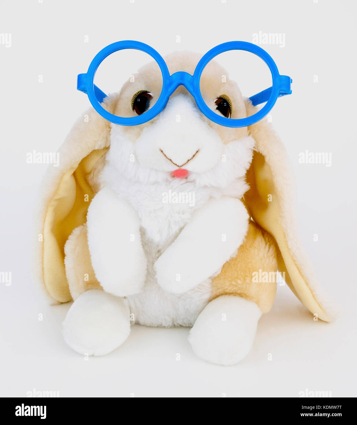 Long-eared bunny rabbit wearing silly goofy blue plastic glasses Stock ...