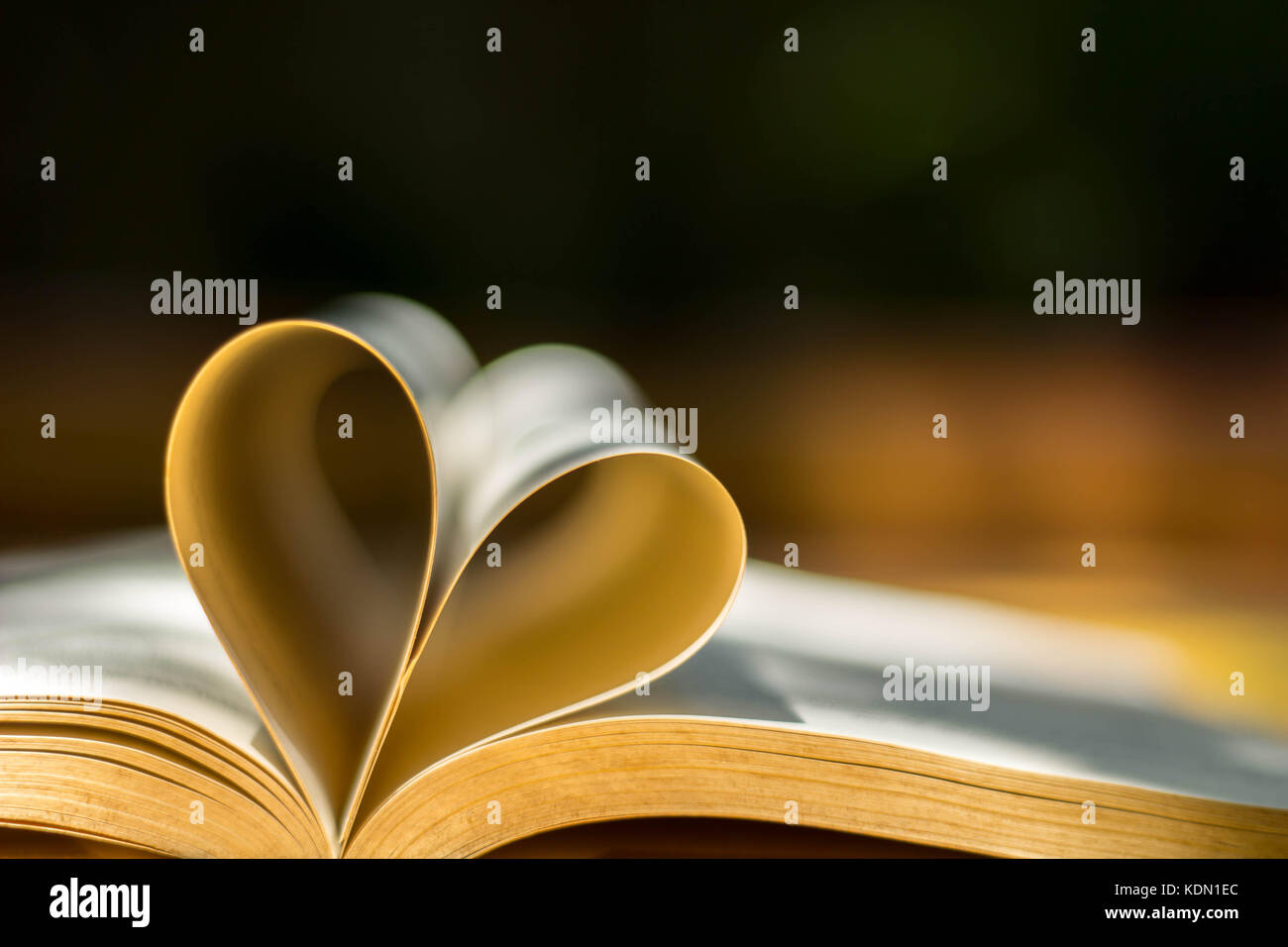 Gold wedding rings, heart book, background blur Stock Photo - Alamy