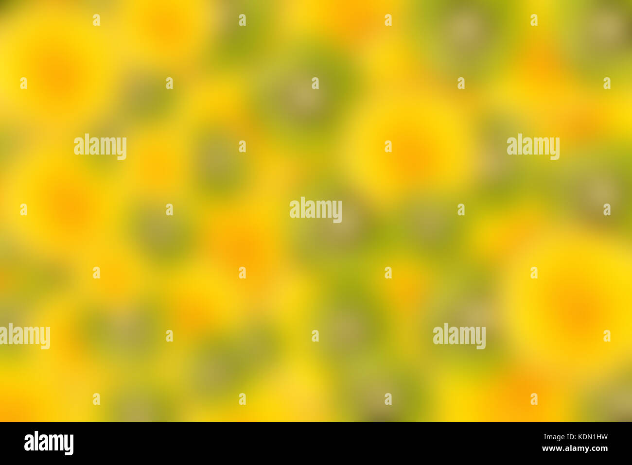 intentionally blurred background full of colors Stock Photo - Alamy