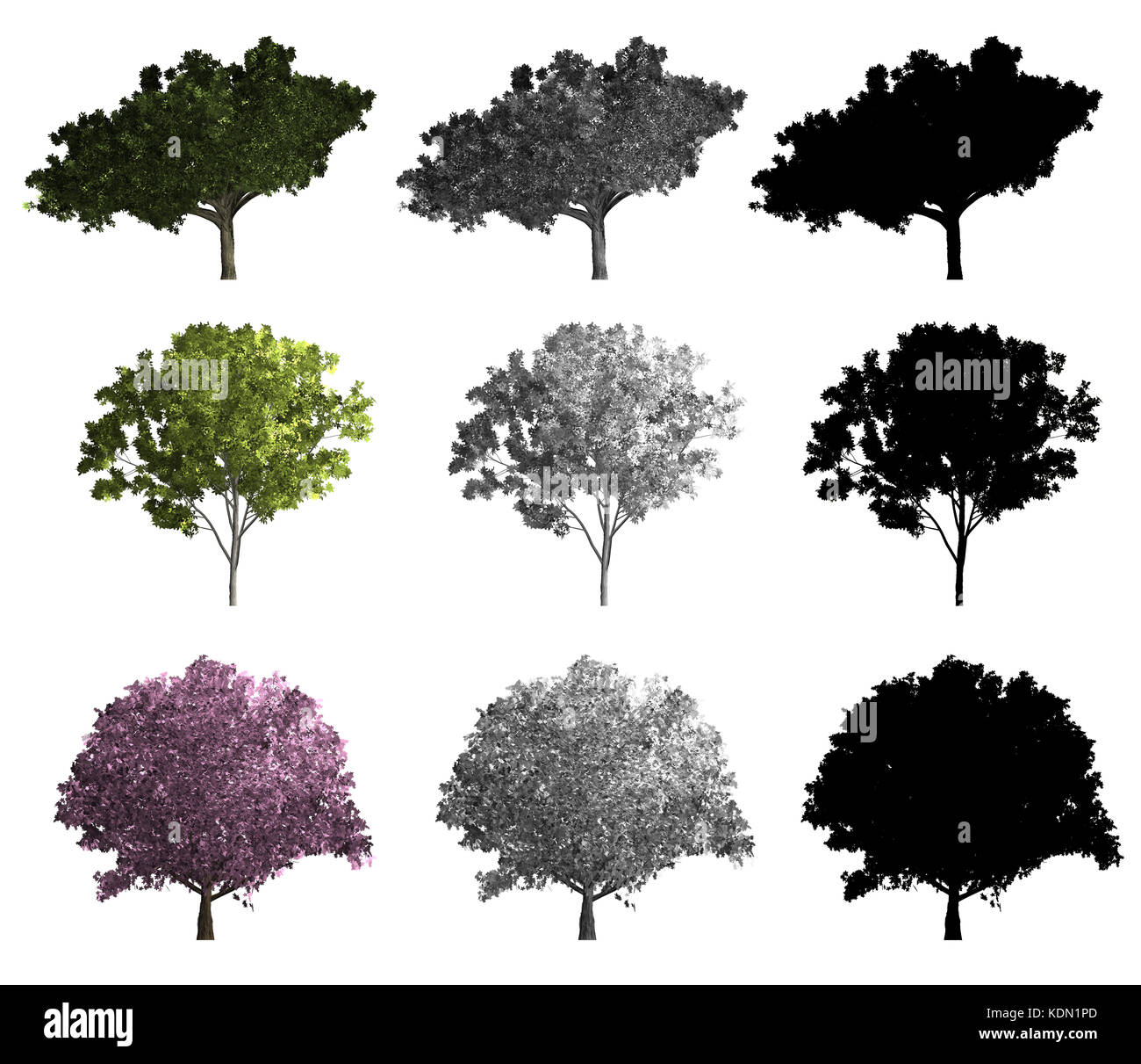 Garden shadows Cut Out Stock Images & Pictures - Alamy