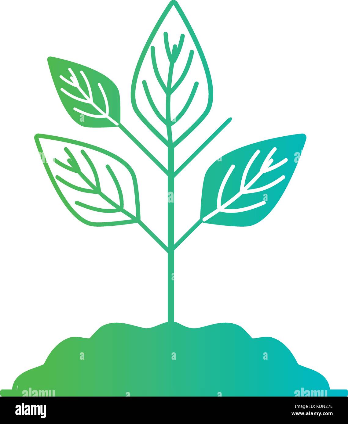 Plan of ground Stock Vector Images - Alamy