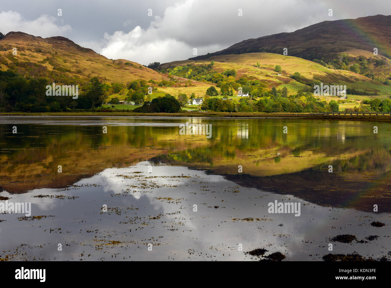 Loch laich hi-res stock photography and images - Alamy