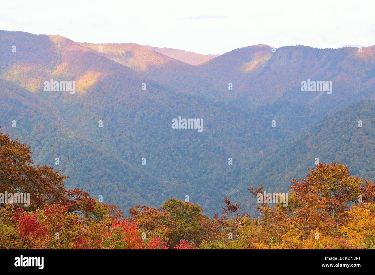 Autumn Landscape of vibrant colorful trees with mountain ranges in ...