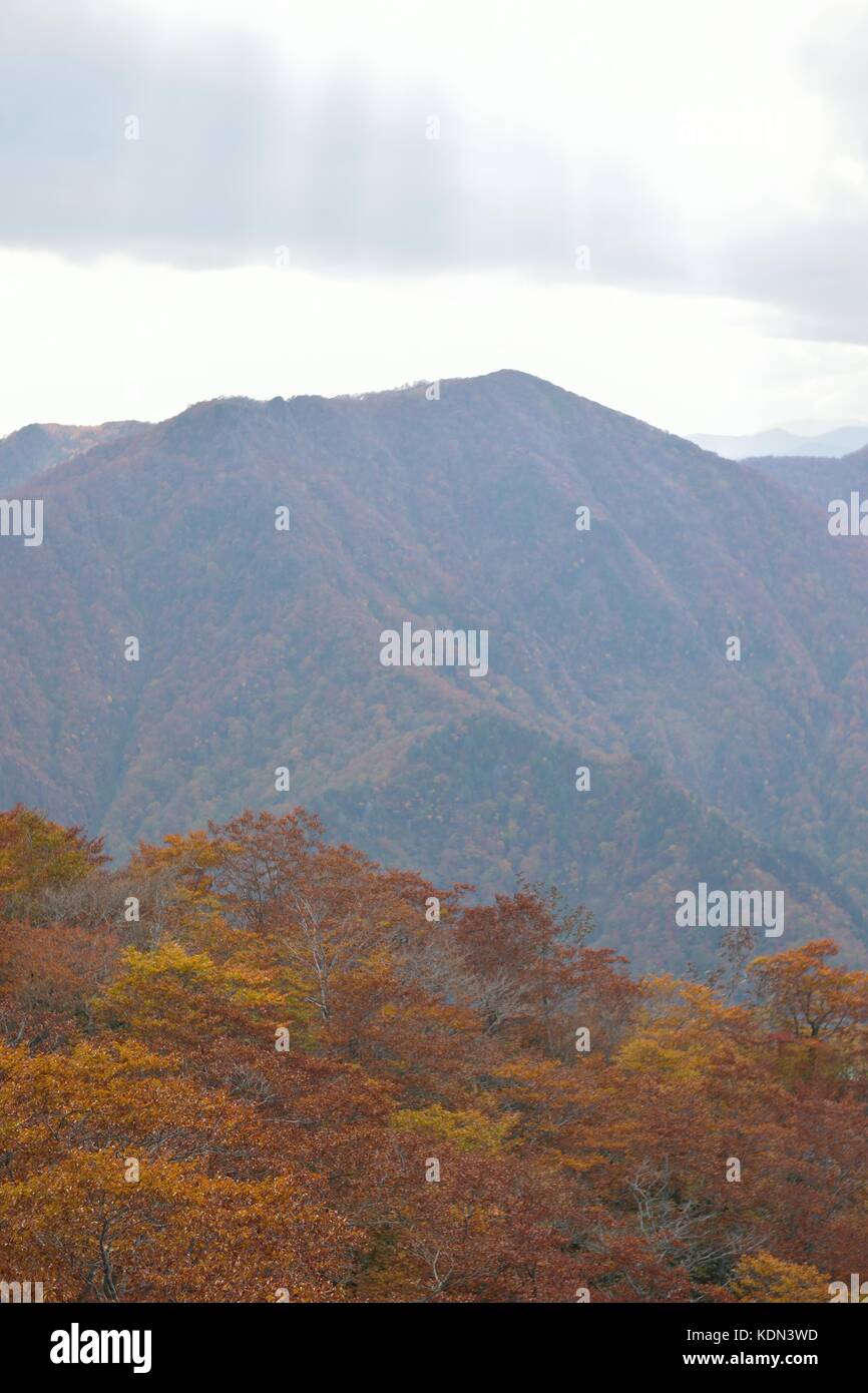 Autumn Landscape of vibrant colorful trees with mountain ranges in ...