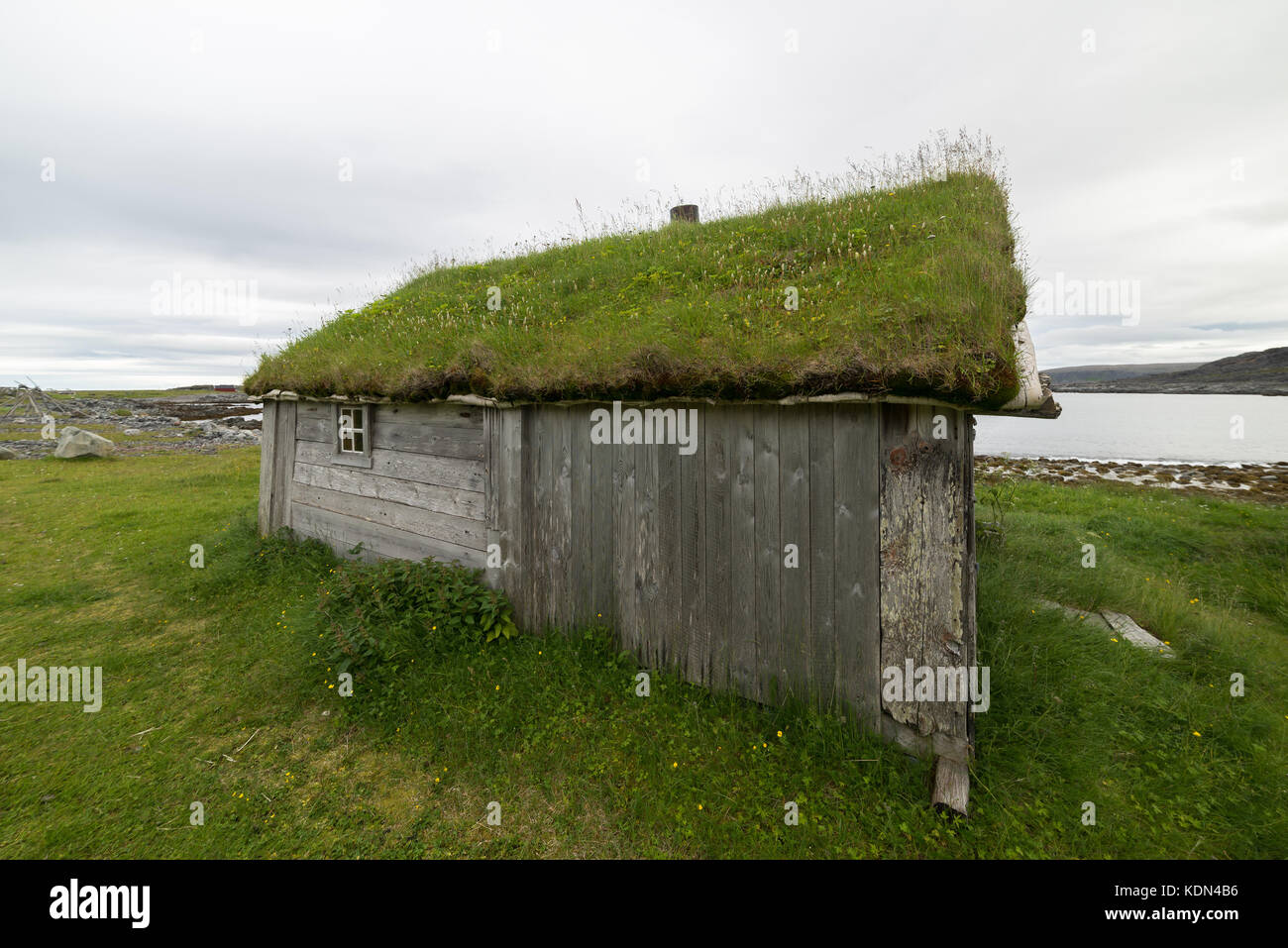 Hamningberg is a old fishing village in north east part of northern ...