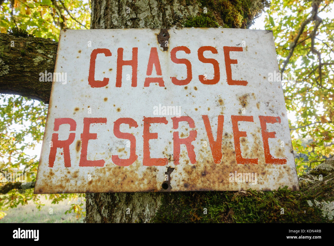 Warning sign in a tree. Hunting sign in French, 'Chasse Réservée ...