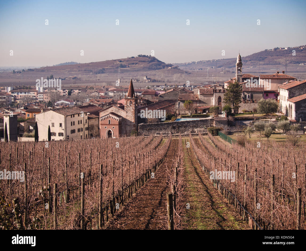 Winter view of Soave (Italy) surrounded by vineyards that produce one ...