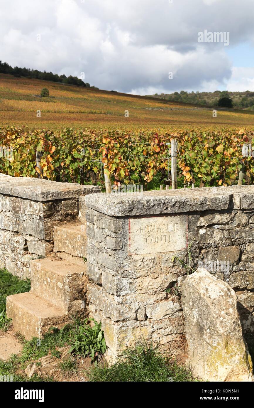 Landscape with Romanee Conti vineyards in Burgundy, France Stock Photo ...