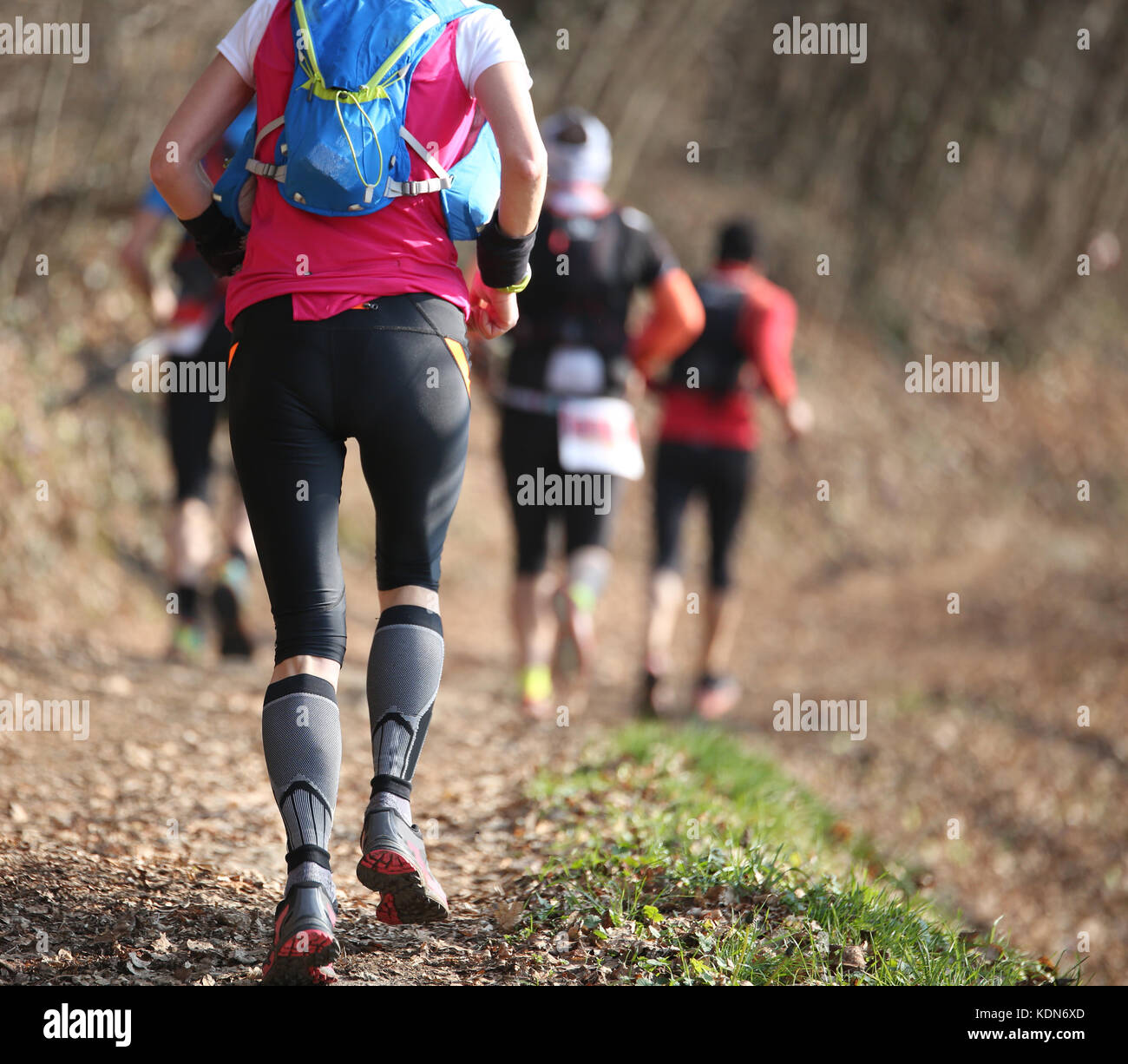 Sporty people run during country races in the woods Stock Photo - Alamy