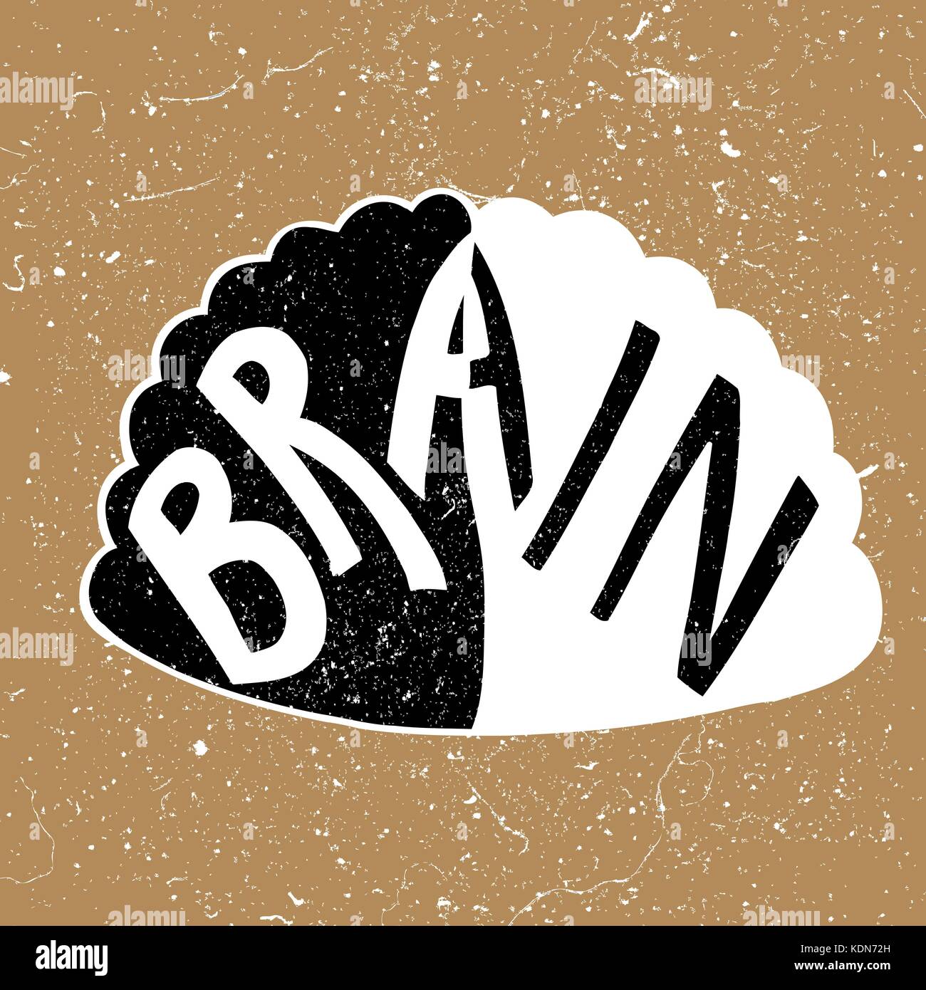 'Brain' text with hand drawn brain sketch. Vector illustration ...