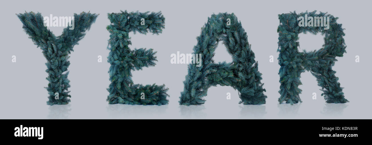 word year from fir-tree Stock Photo - Alamy