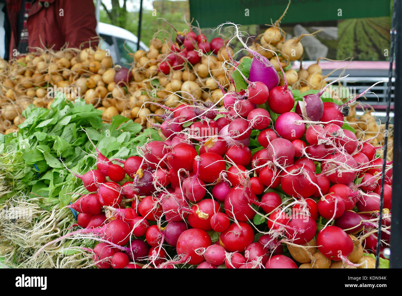 Queen’s Square Farmers’ Market Stock Photo - Alamy