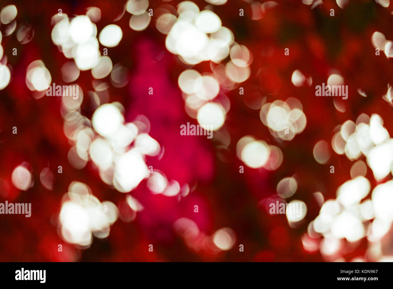 Beautiful blur background, bokeh on nature Stock Photo - Alamy
