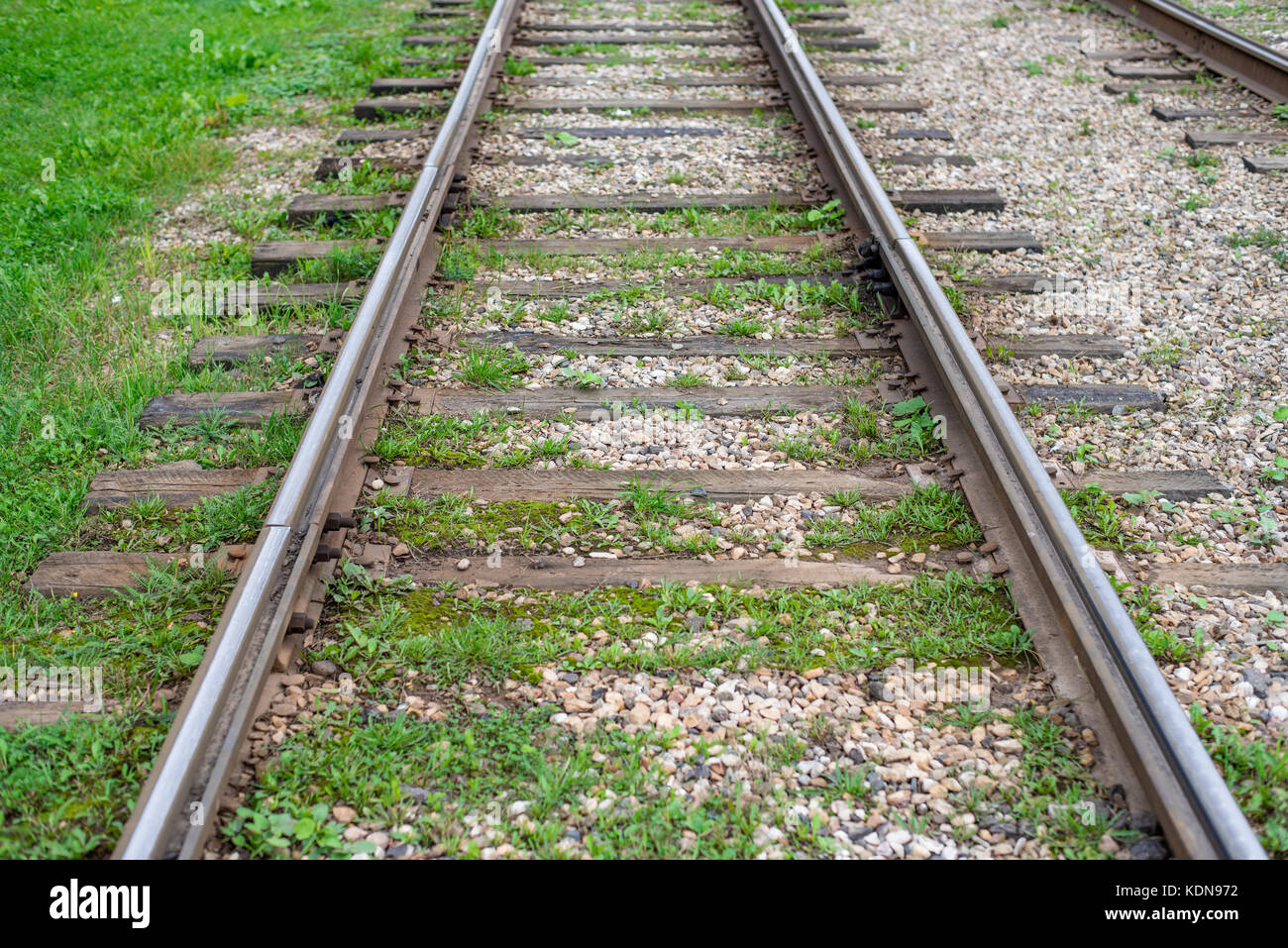 Old tram rails, close-up, summer autumn, between sleepers grass, gravel ...