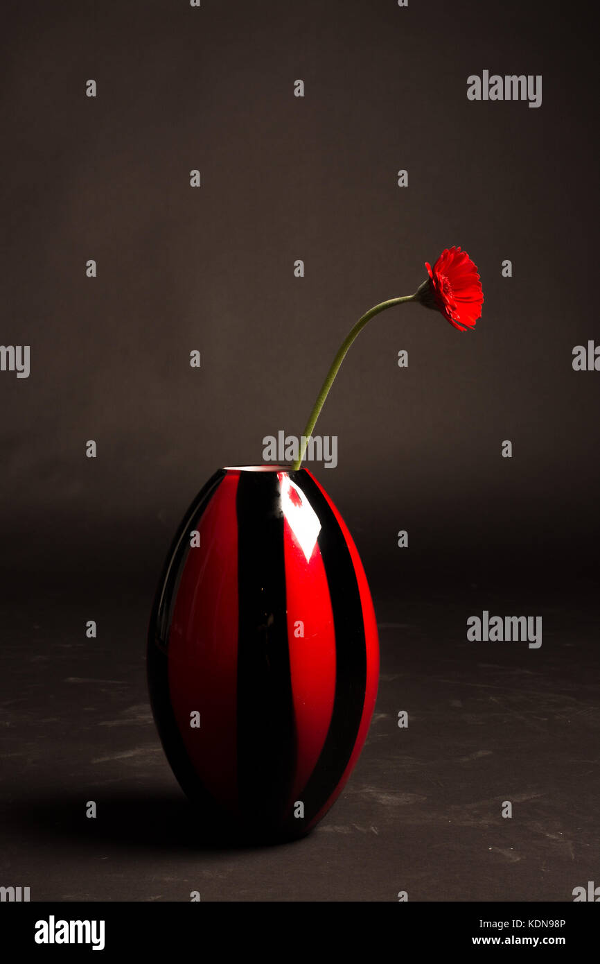 Flower in red and black vase Stock Photo - Alamy